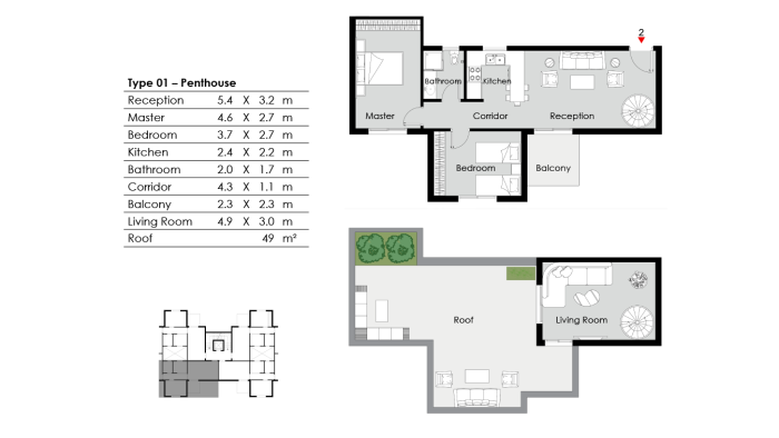 Type 1 – Penthouse - NCD